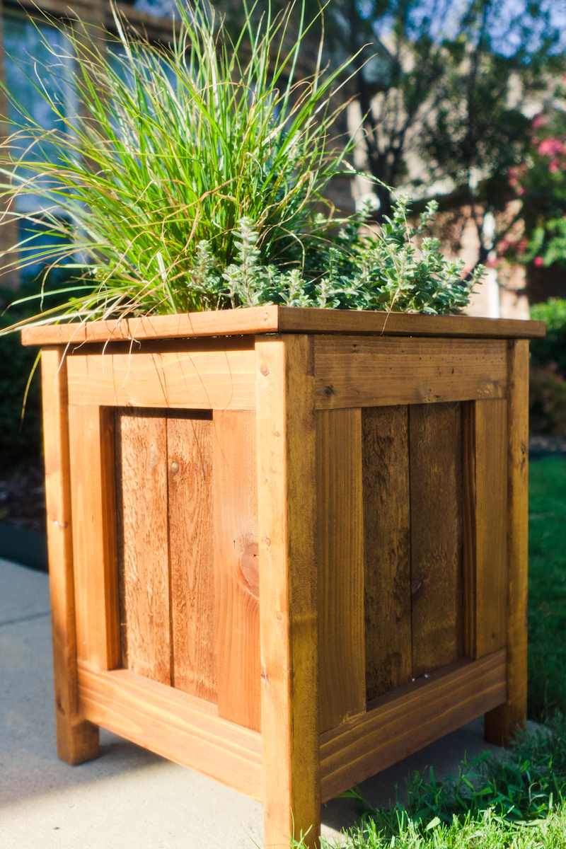 Cedarplanter2 - Swanky Design Co.